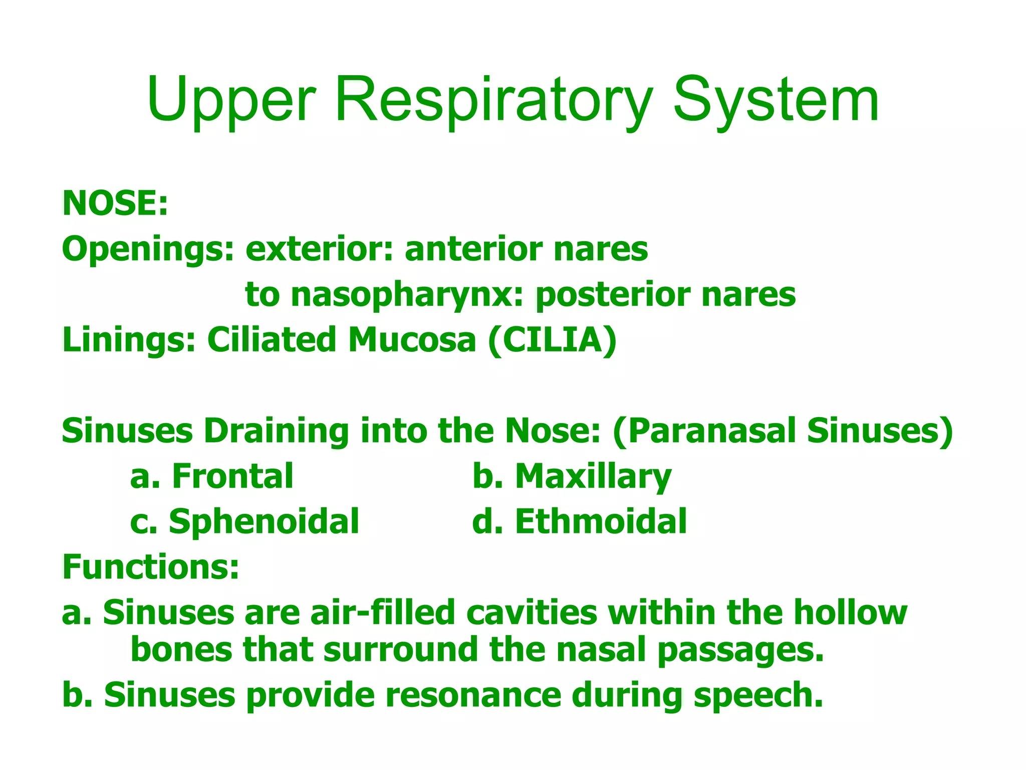 Respiratory system slide show | PPT