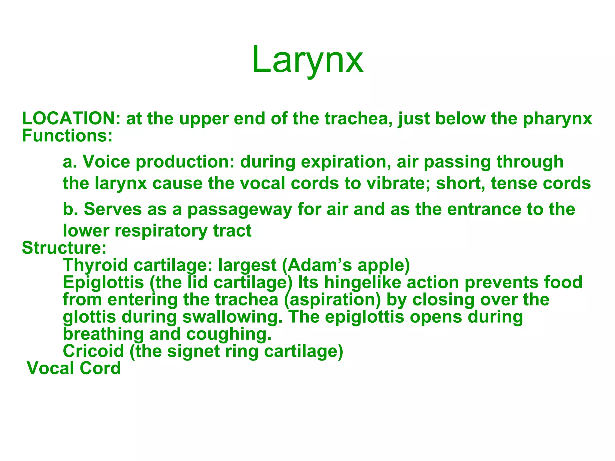 Respiratory system slide show | PPT