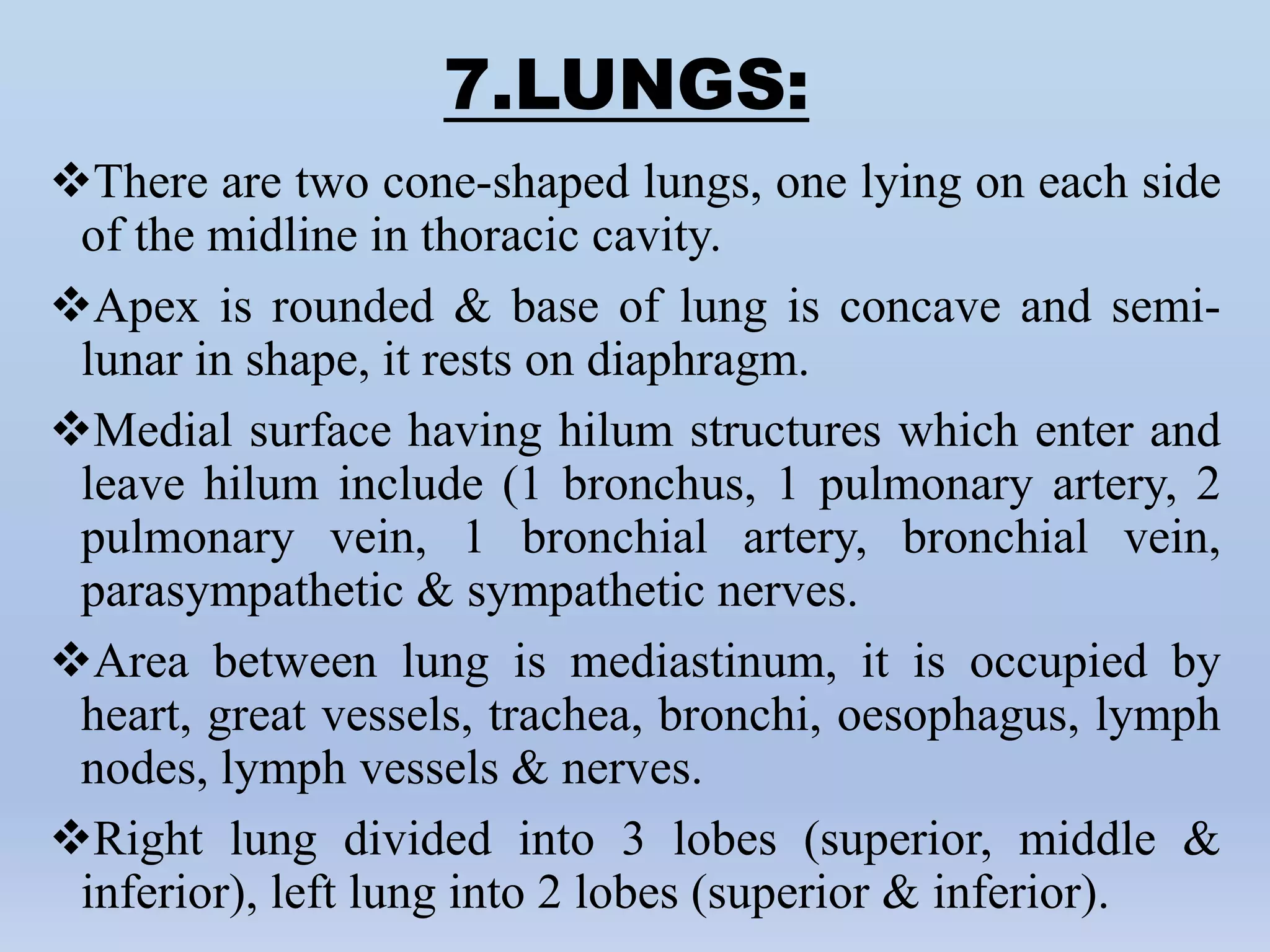 Respiratory system (Structure).pptx