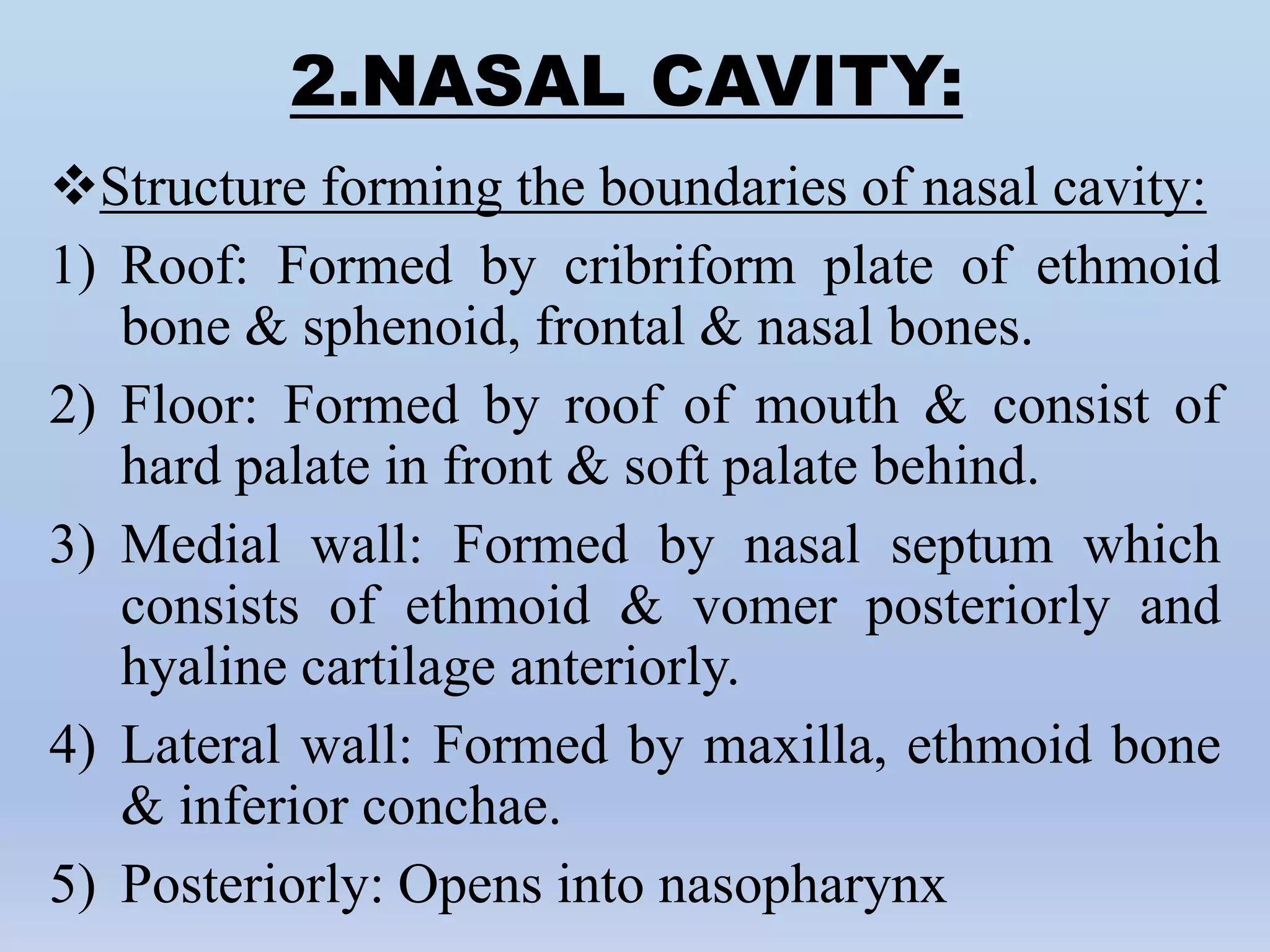 Respiratory system (Structure).pptx