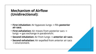 Respiratory system structure of gills, lungs & air sacs; accessory ...