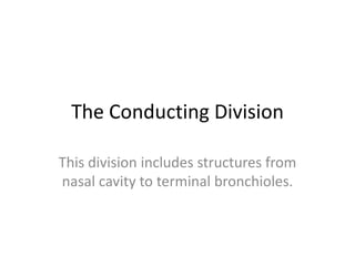 Respiratory system study guide | PPTX