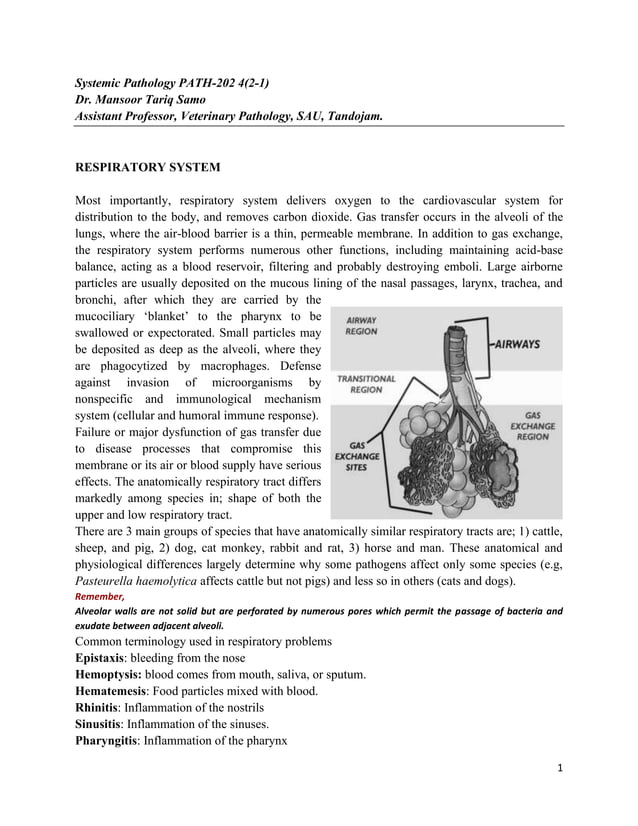Respiratory system systemic pathology path 202