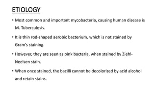 RESPIRATORY SYSTEM Tuberculosis pathology.pptx