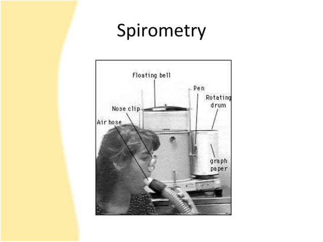Respiratory system test | PPT