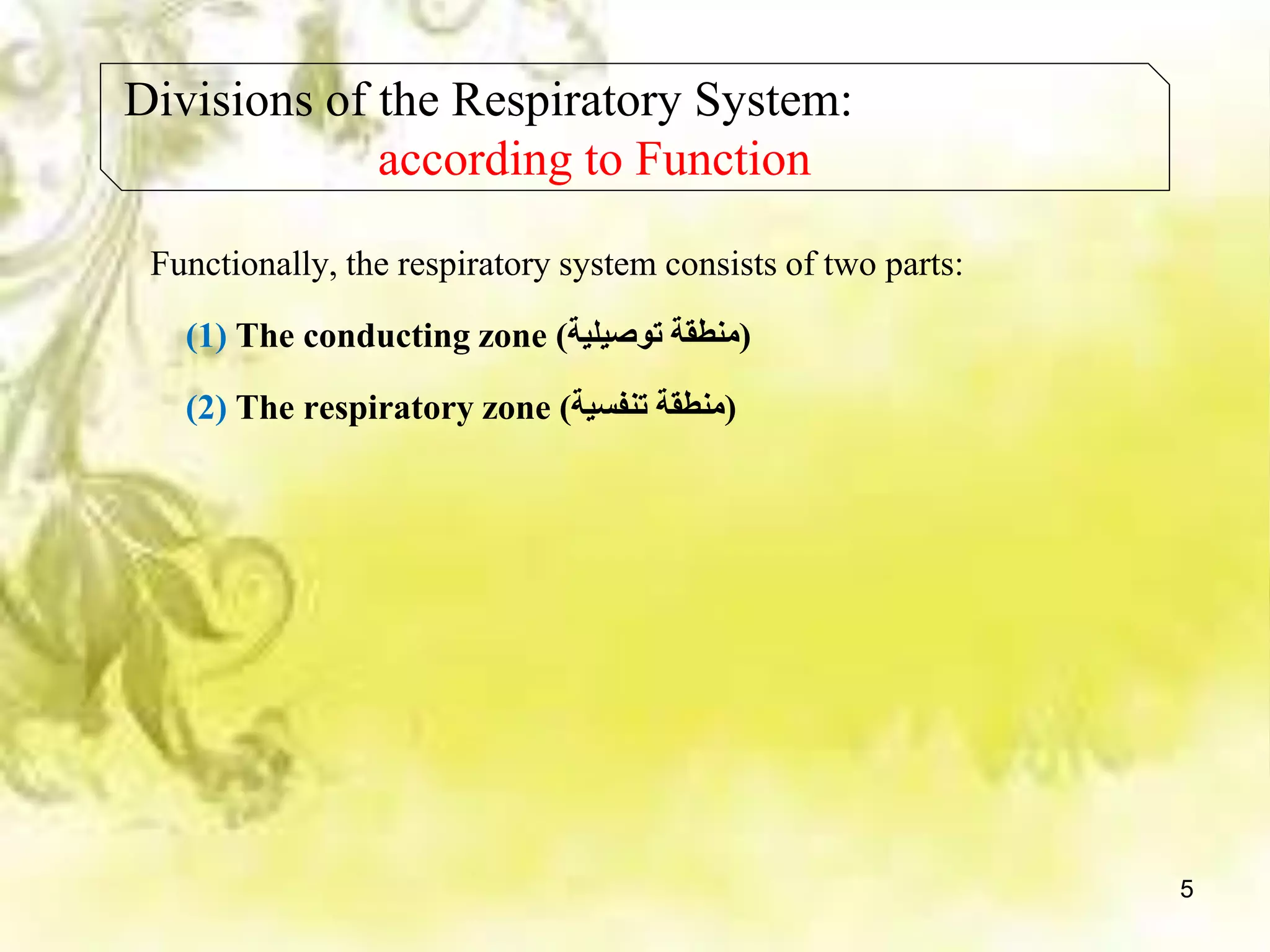 Respiratory System Theory .pptx