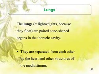 Respiratory System Theory .pptx