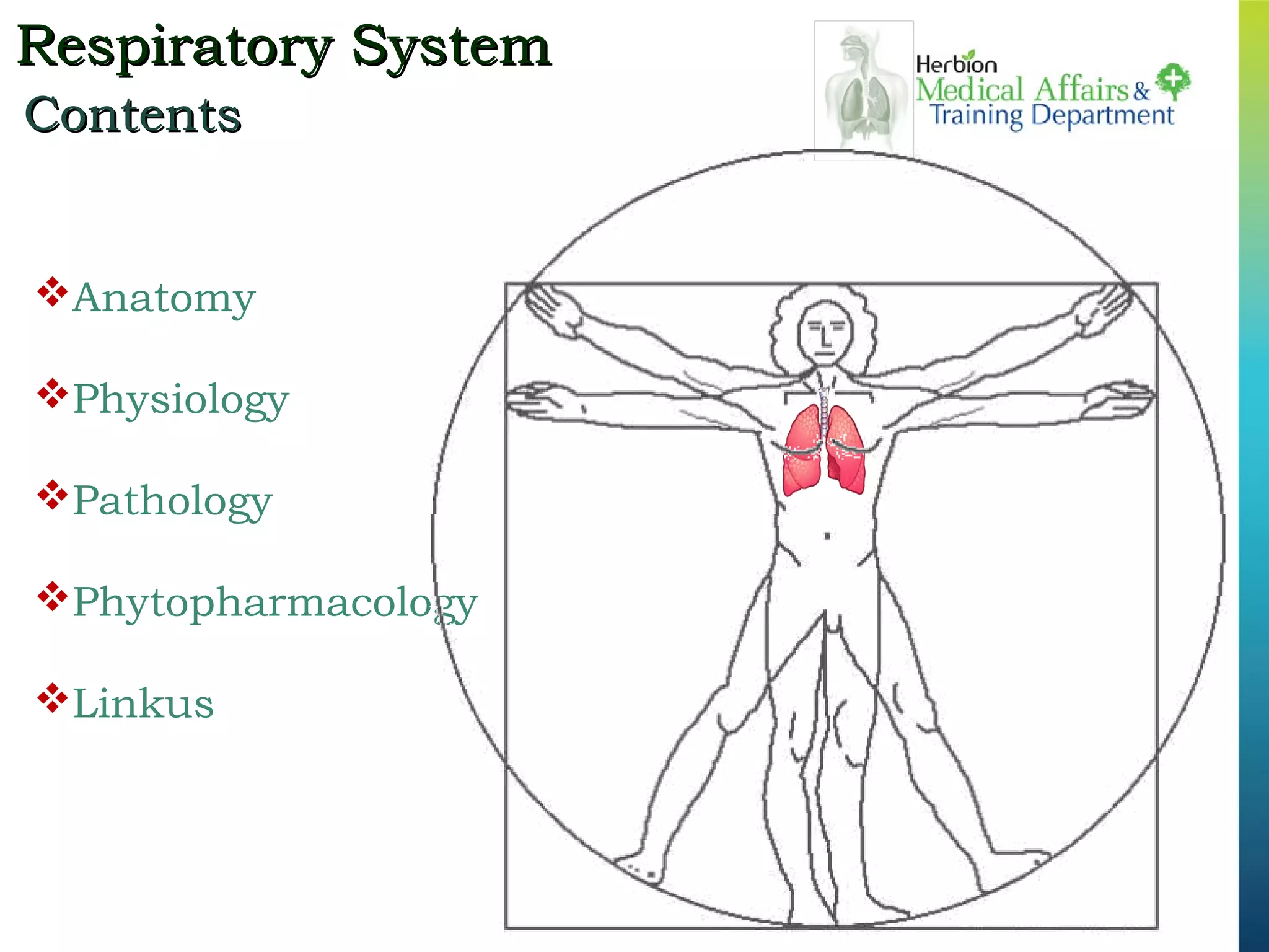 Respiratory System Training | PPT
