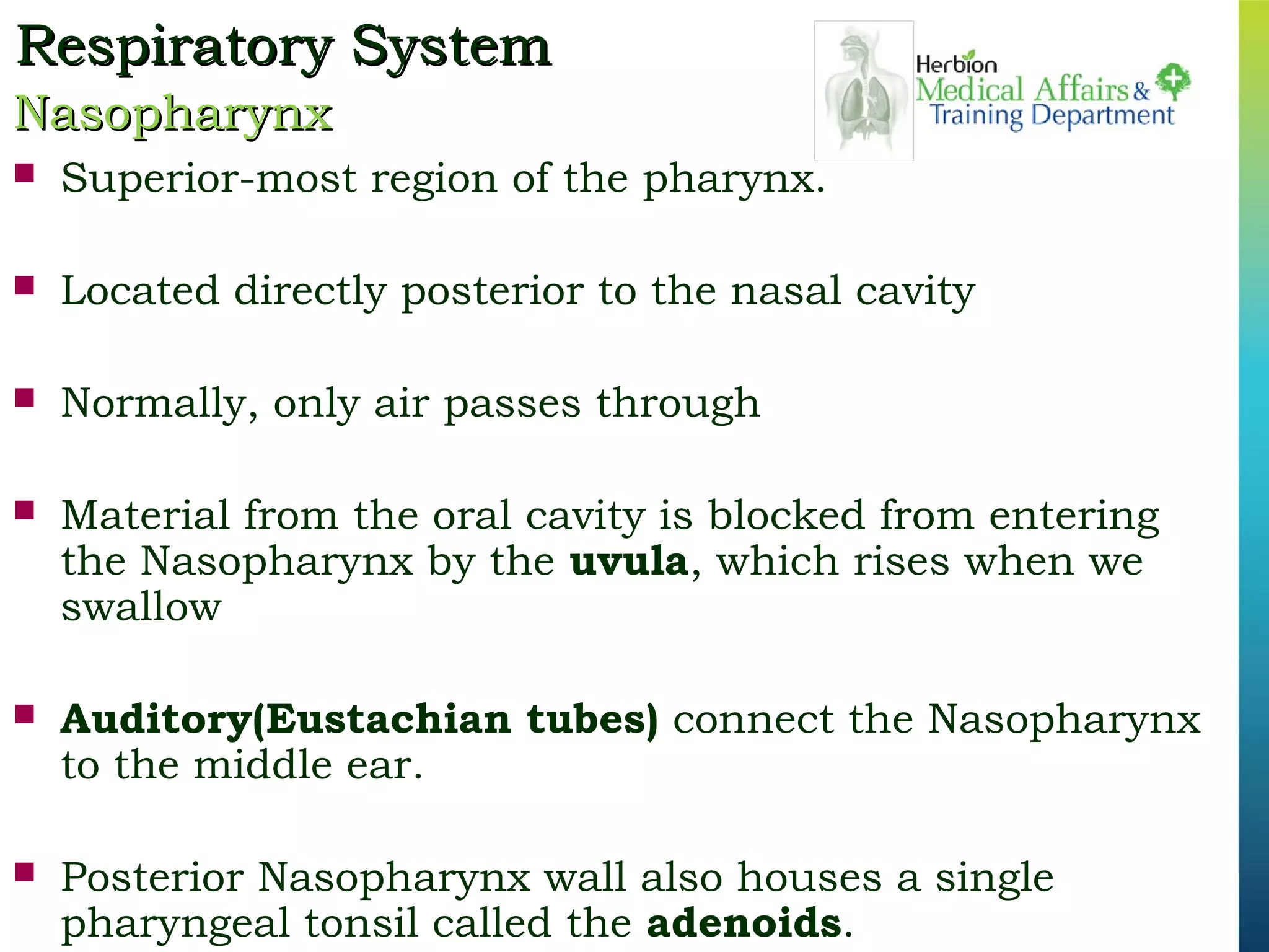 Respiratory System Training | PPT