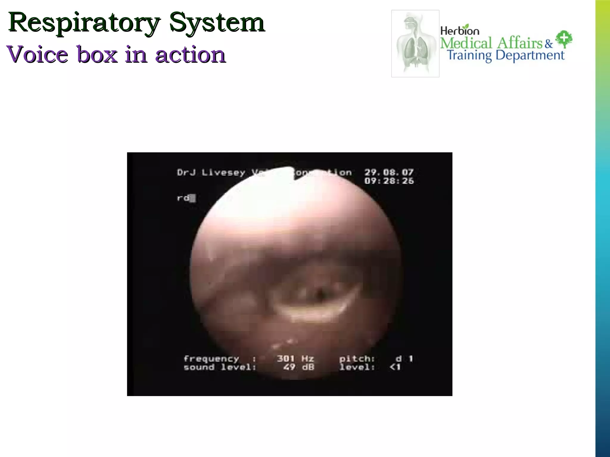 Respiratory System Training | PPT