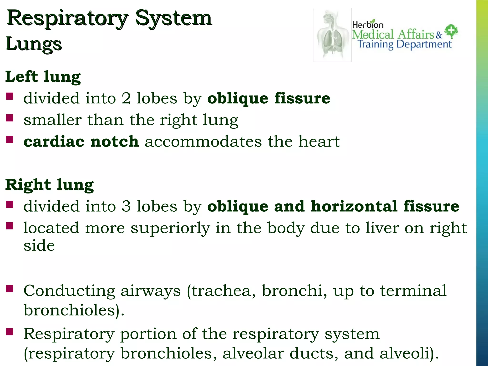 Respiratory System Training | PPT
