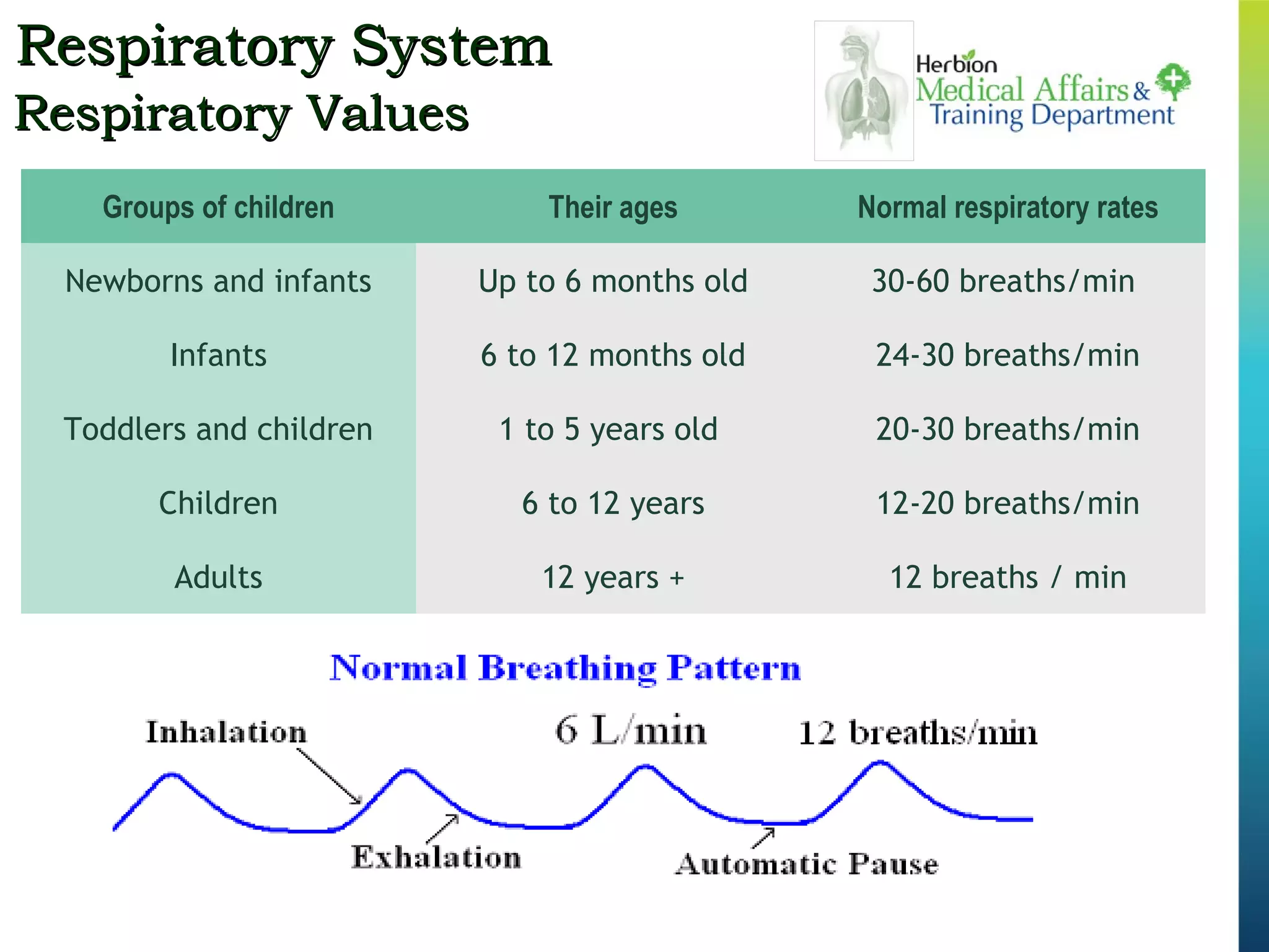 Respiratory System Training | PPT