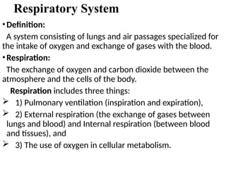Respiratory System unit-I.pptx.p........ | PPTX