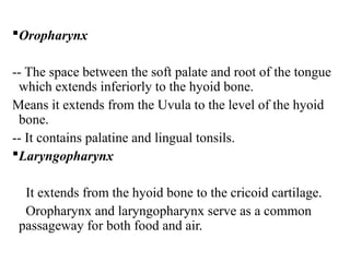 Respiratory System unit-I.pptx.p........ | PPTX