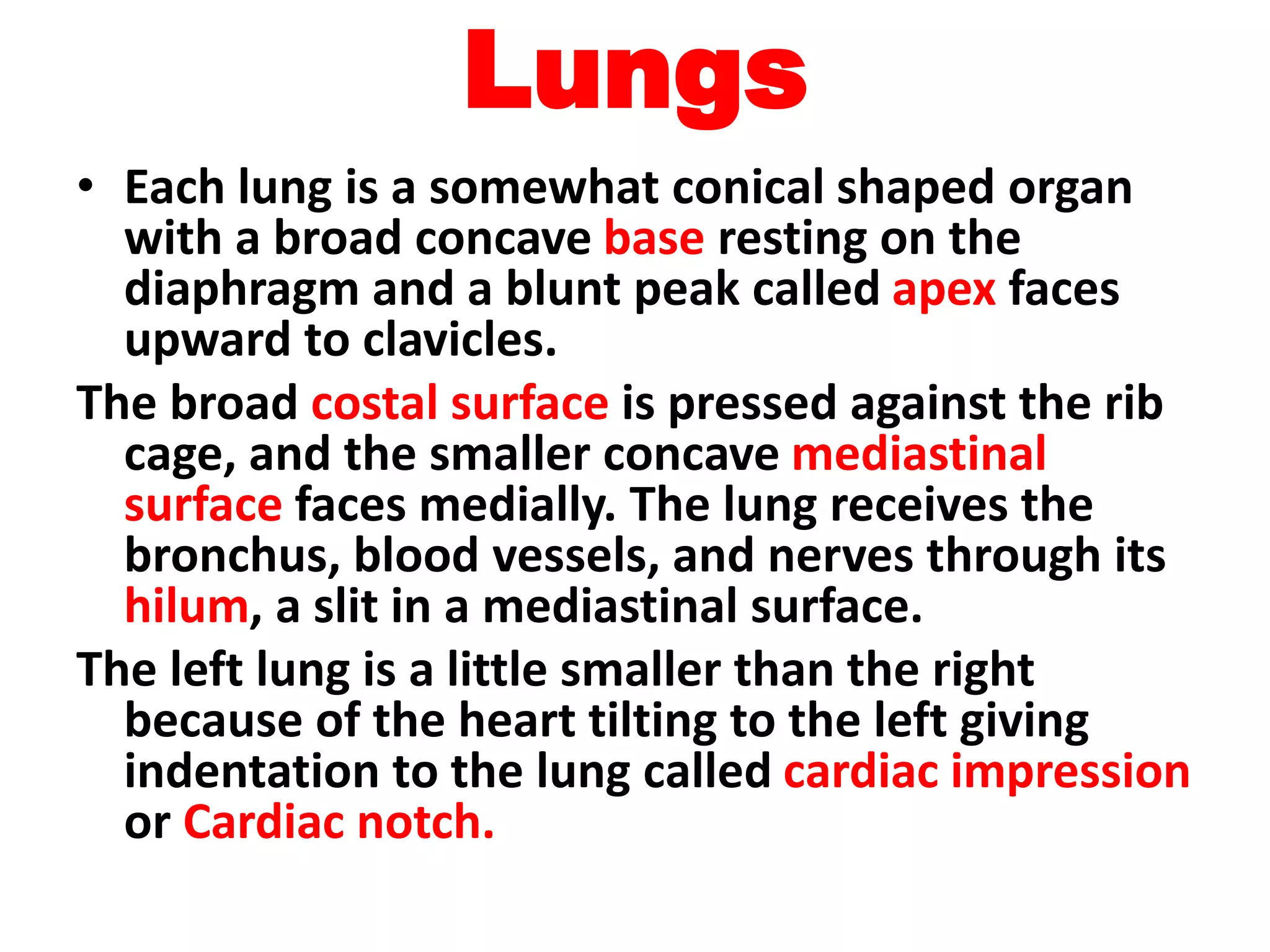 Respiratory System unit-I cop.pptx