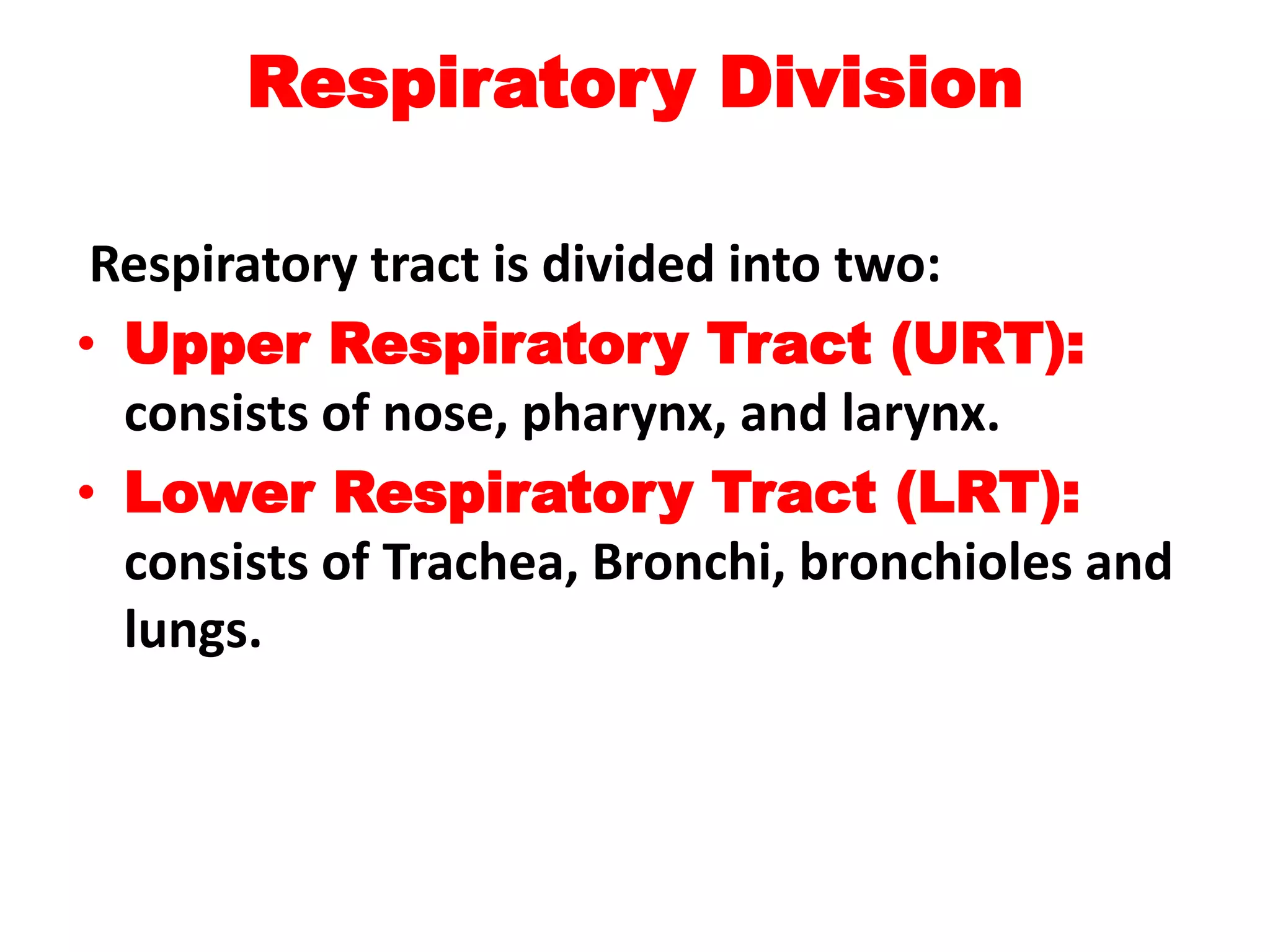 Respiratory System unit-I cop.pptx