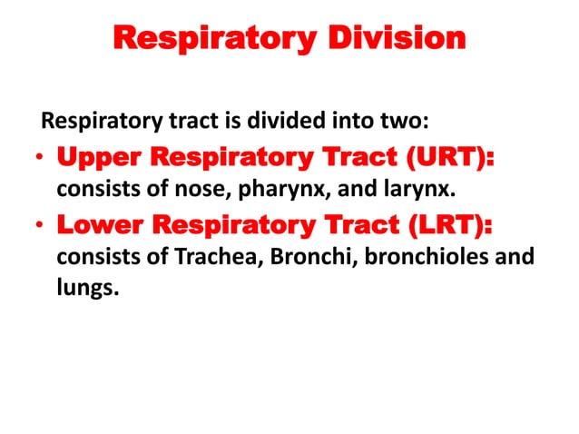 Respiratory System unit-I cop.pptx