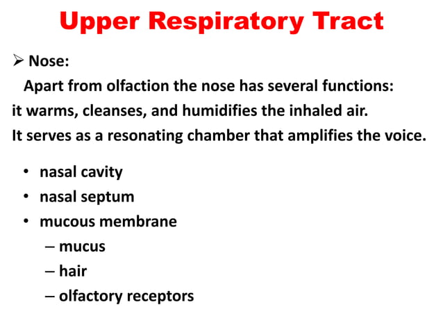 Respiratory System unit-I cop.pptx