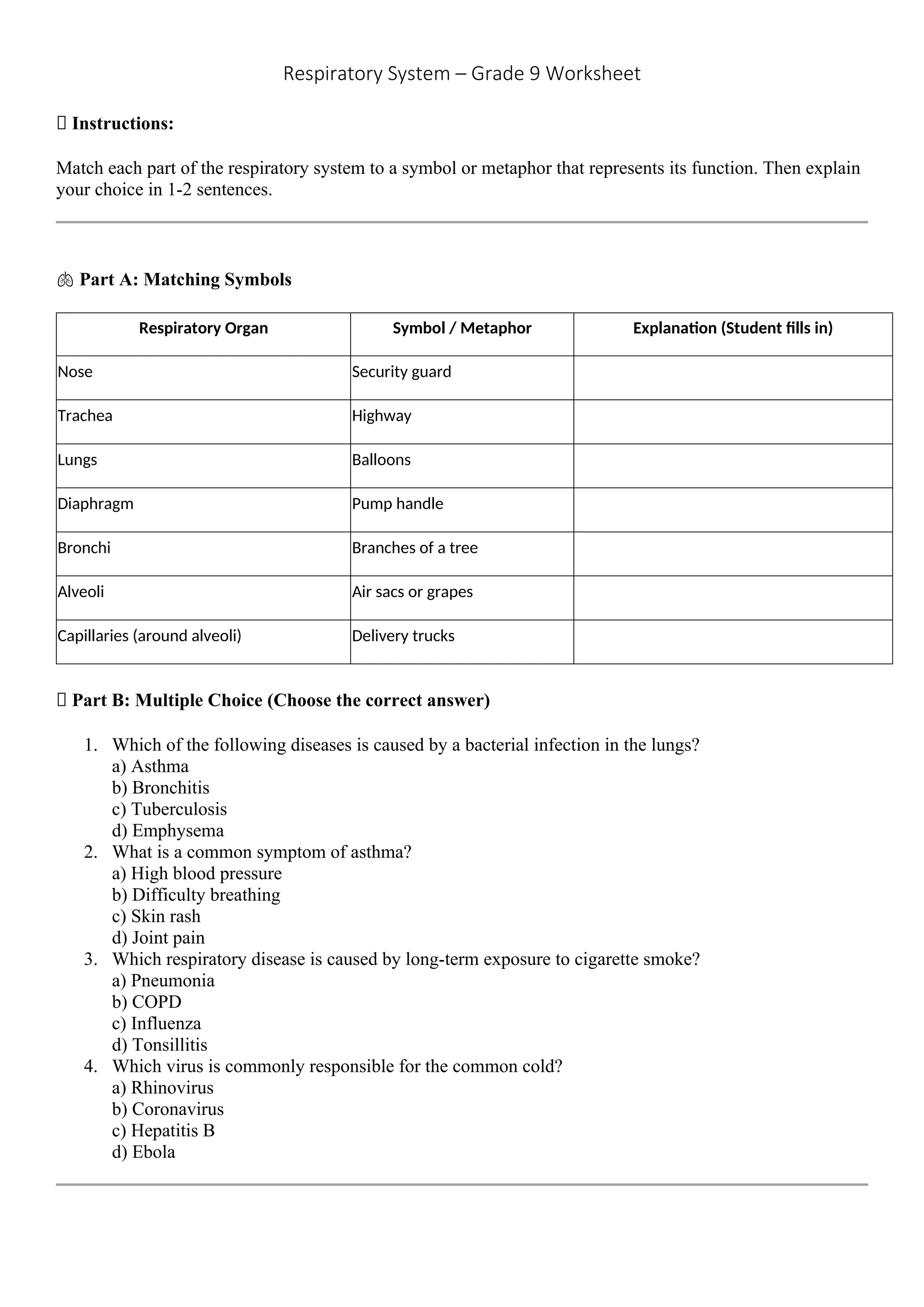 Respiratory System worksheet that assess students cognitive development ...