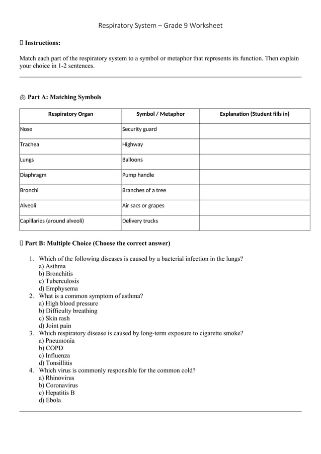 Respiratory System worksheet that assess students cognitive development ...