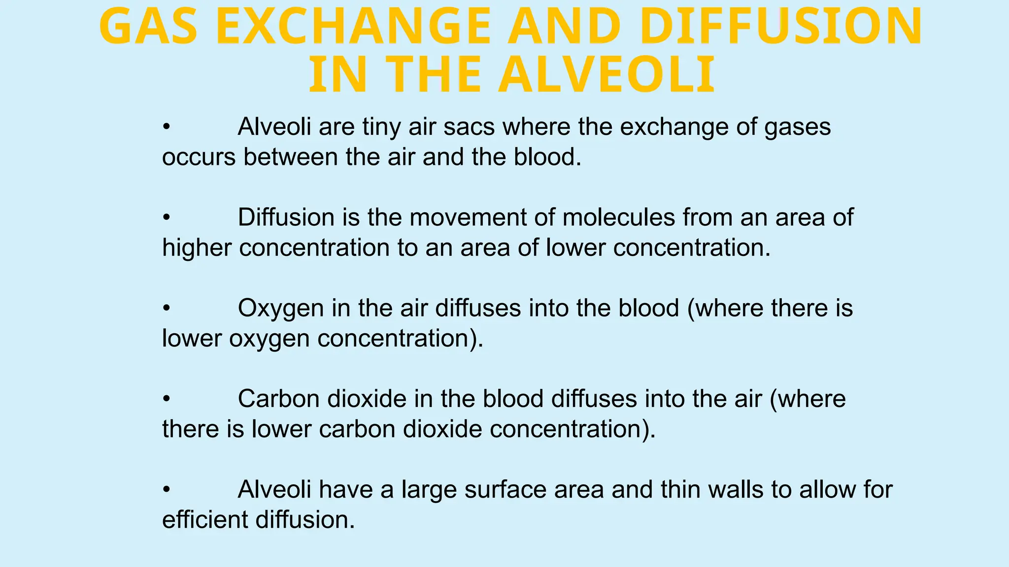 respiratory system year 8.pptx cambridge | PPTX