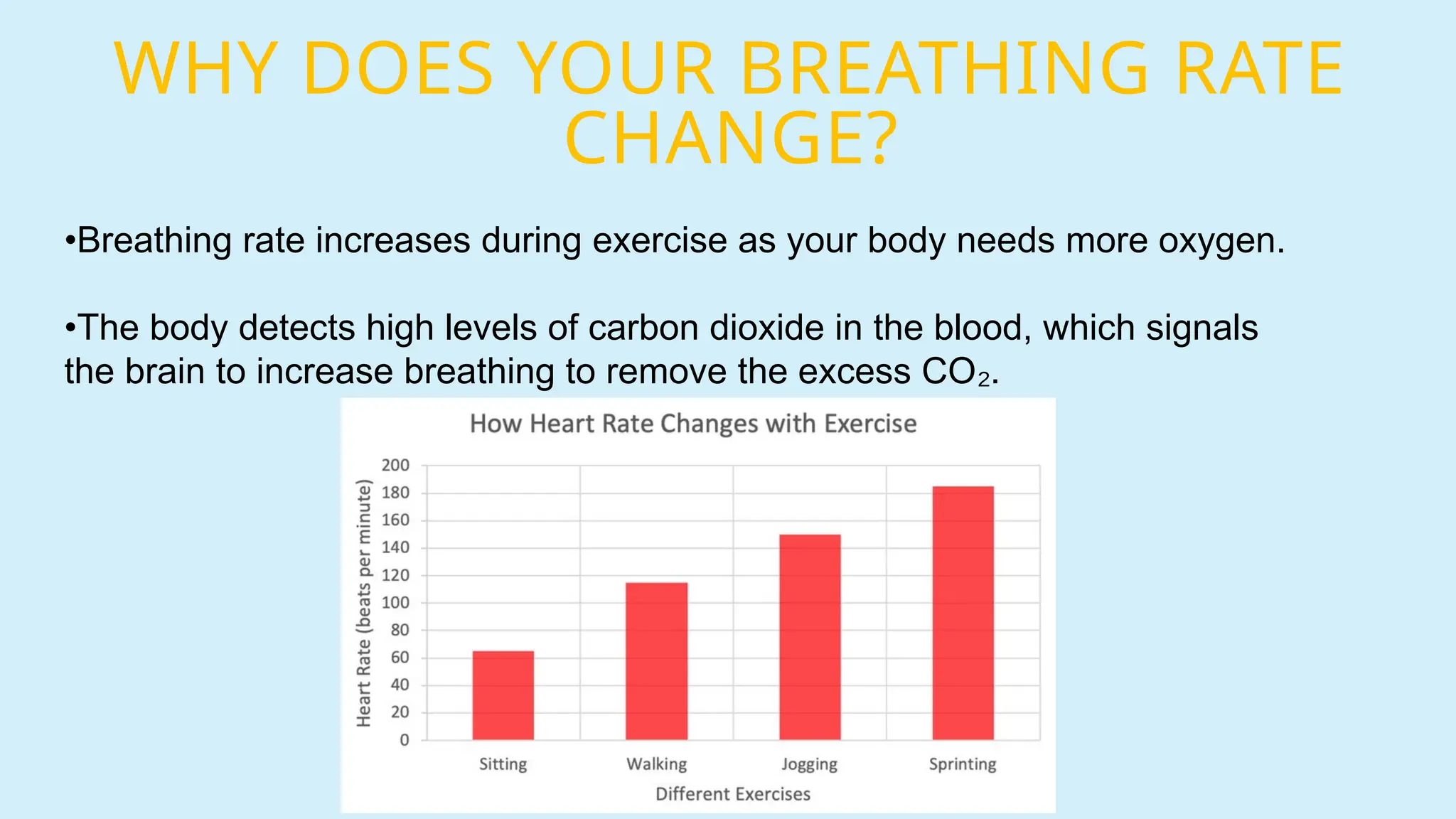 respiratory system year 8.pptx cambridge | PPTX