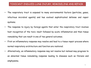 Respiratory Toxicology | PDF