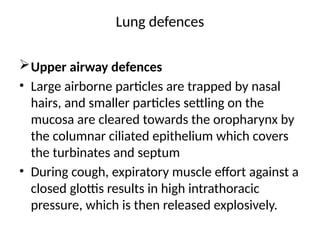 Respiratory tract (brief overview) .pptx