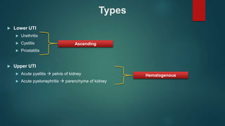 Respiratory tract infection and UTI by Dr. Rakesh Prasad Sah | PPT
