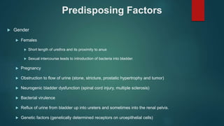 Respiratory tract infection and UTI by Dr. Rakesh Prasad Sah | PPT