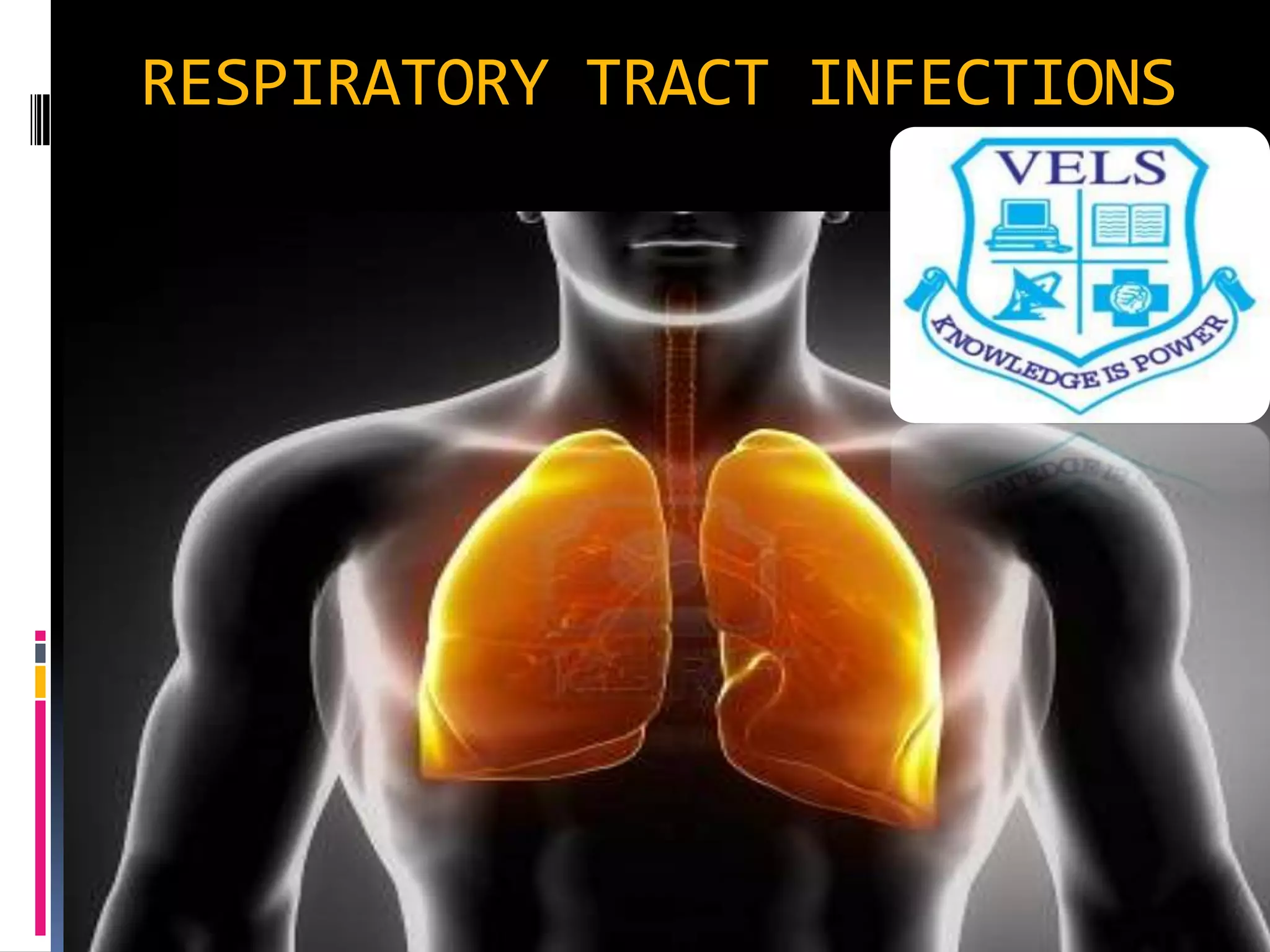 Respiratory tract infections | PPTX | Ear, Nose and Throat Conditions ...