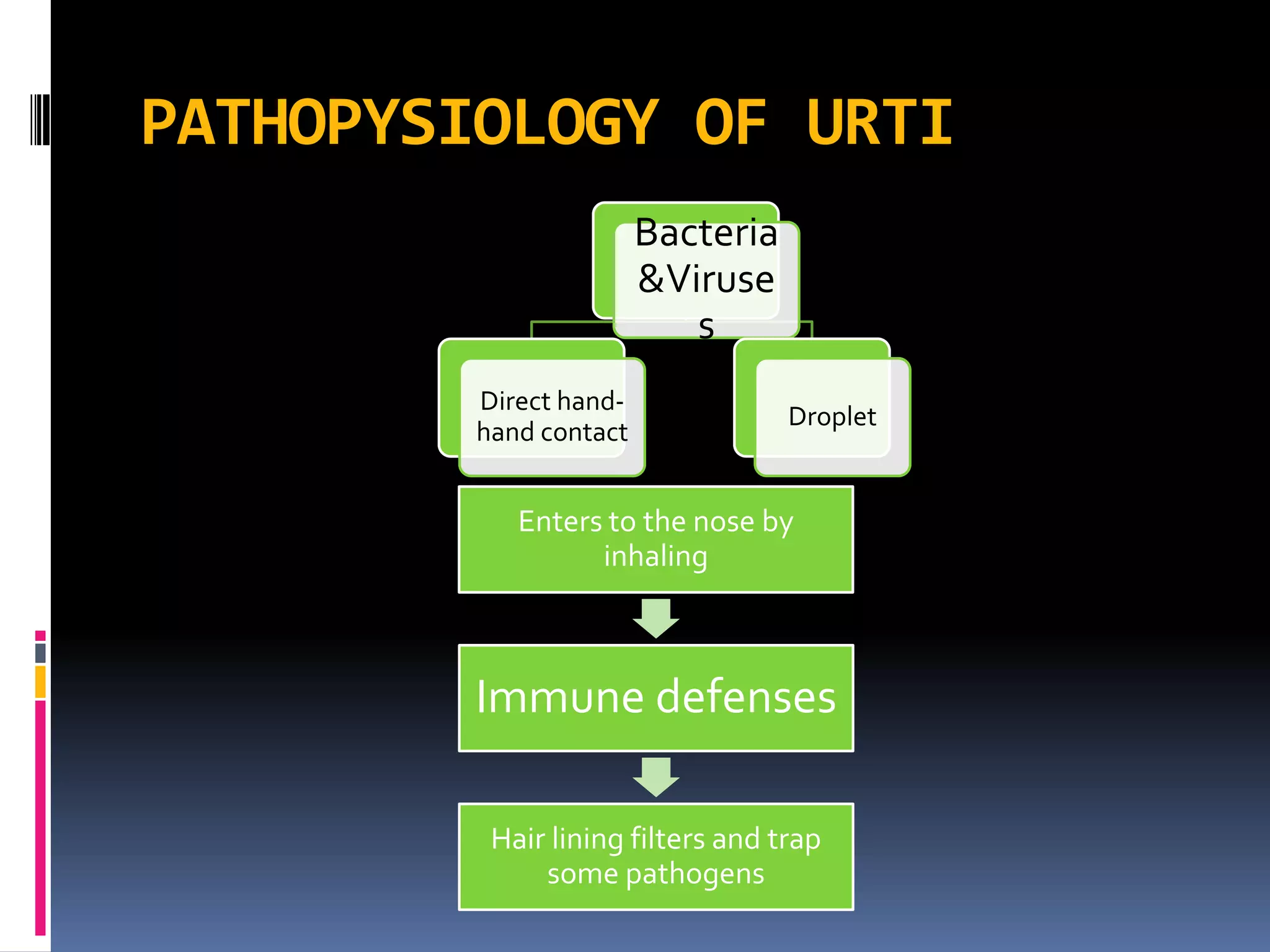 Respiratory tract infections | PPTX
