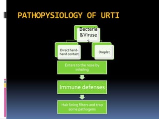 Respiratory tract infections | PPTX