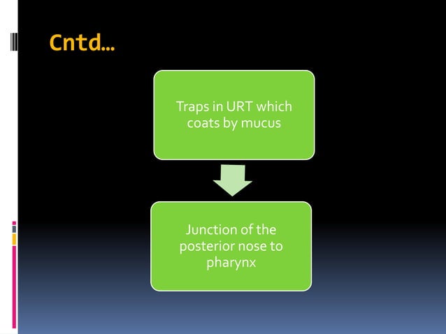 Respiratory tract infections | PPTX | Ear, Nose and Throat Conditions ...