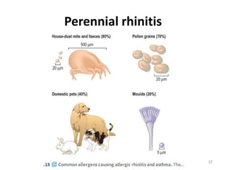Respiratory tract infections | PPTX | Ear, Nose and Throat Conditions ...