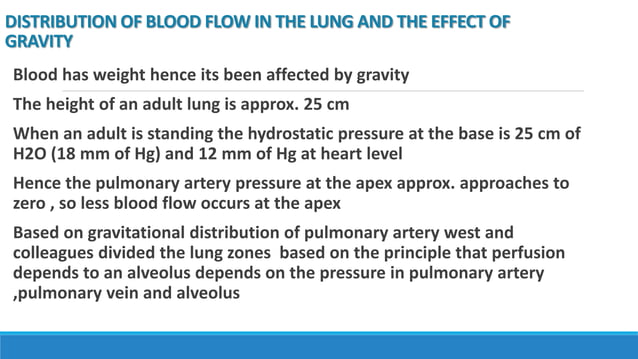 RESPIRATORY physilogy anesthesia ventillation | PPT