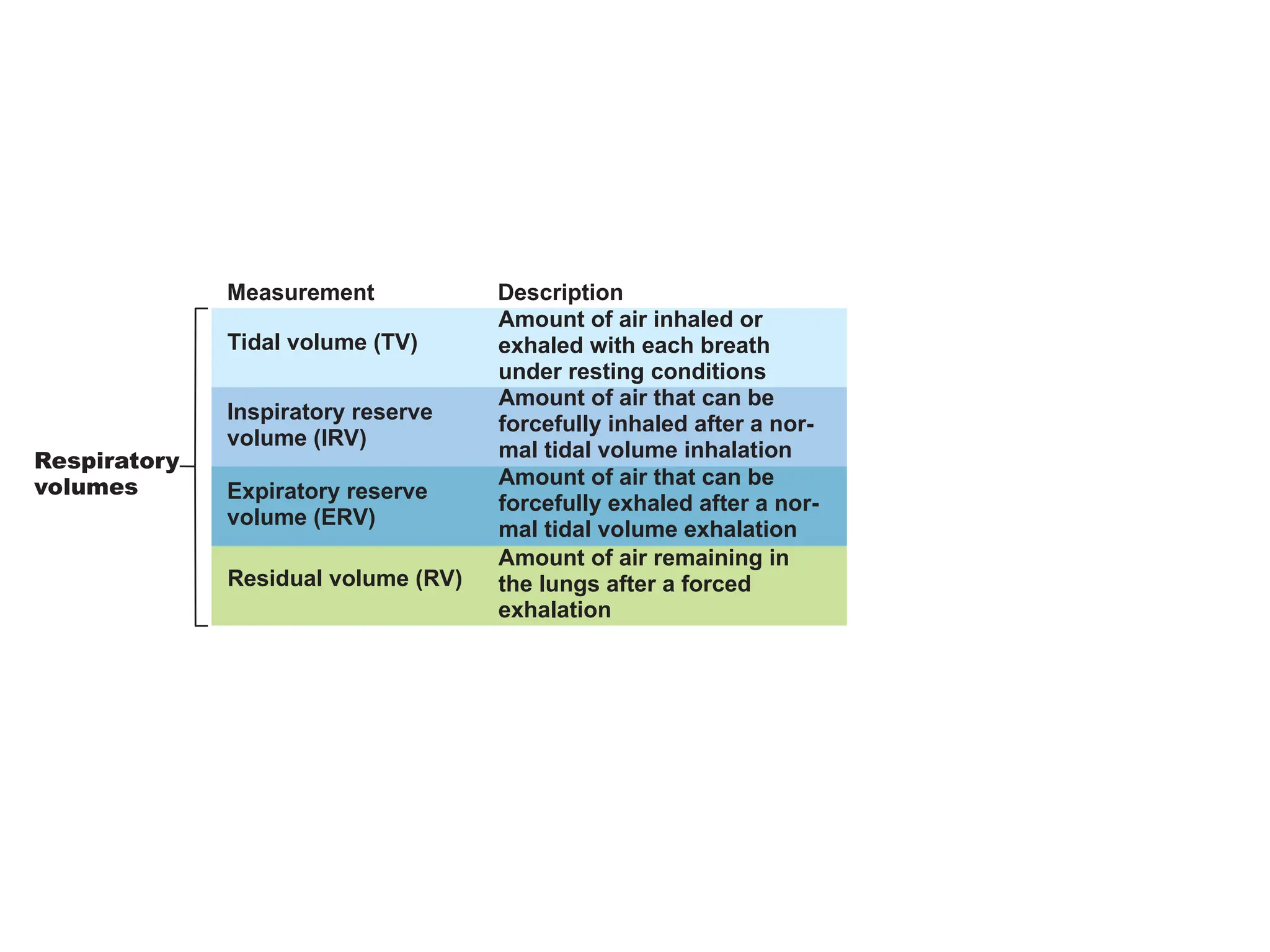 respiratory volume 4742460.............ppt