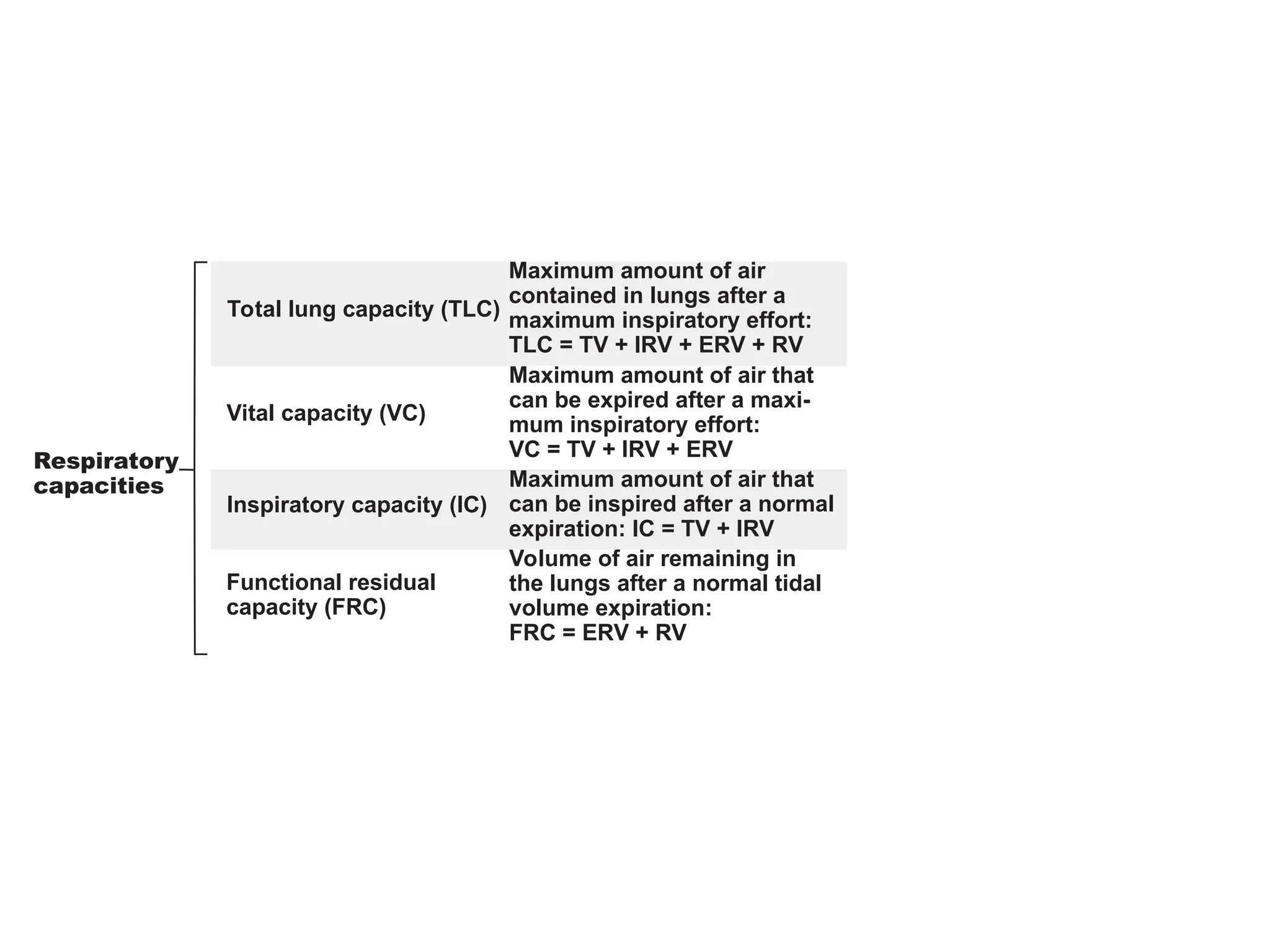respiratory volume 4742460.............ppt