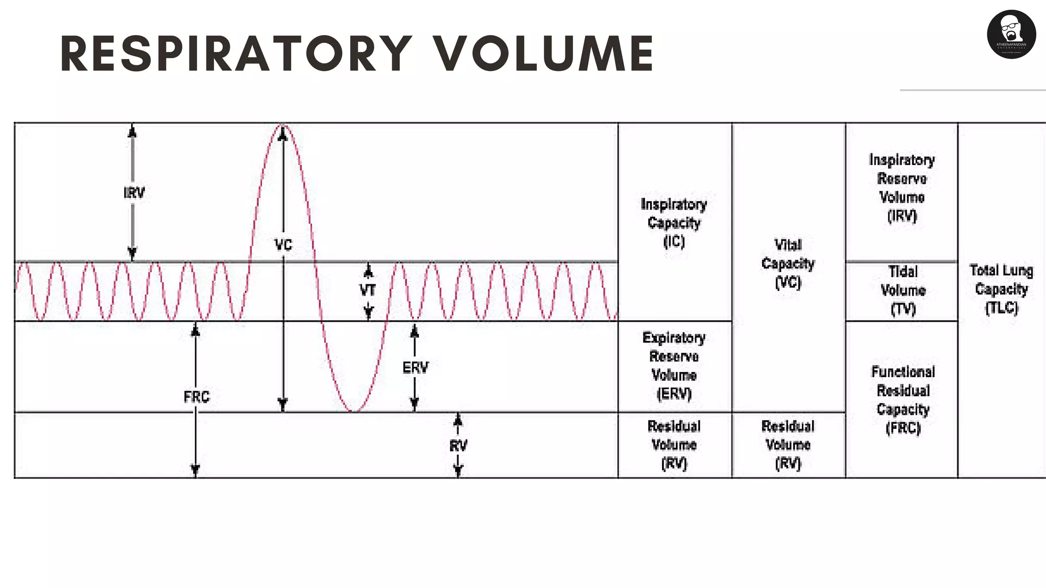 Respiratory volume measurement for humans | PPT