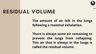 Respiratory volume measurement for humans | PPT