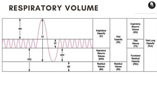 Respiratory volume measurement for humans | PPT