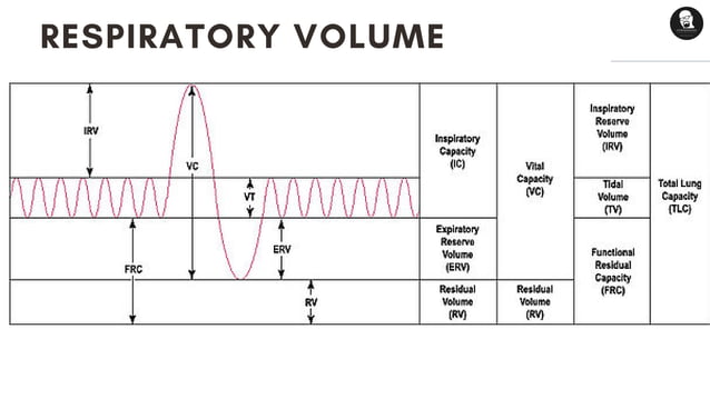 Respiratory volume measurement for humans | PPT
