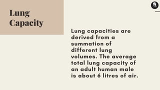 Respiratory volume measurement for humans | PDF