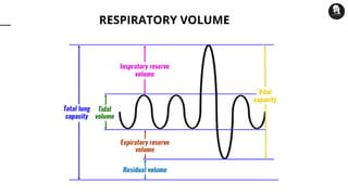 Respiratory volume measurement for humans | PPT