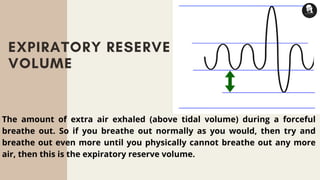 Respiratory volume measurement for humans | PPT