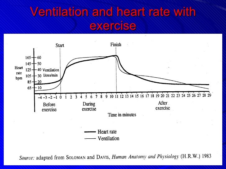Respiratoty response to exercise dipayan