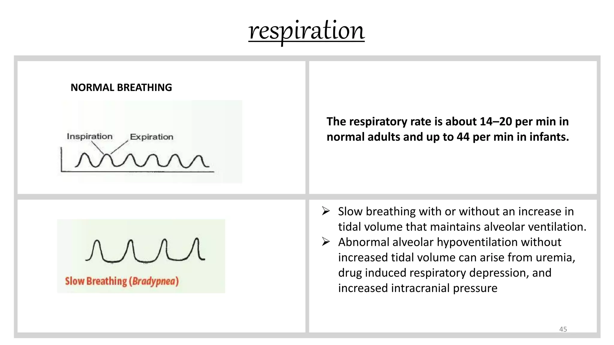 Respiratory assessment | PPTX