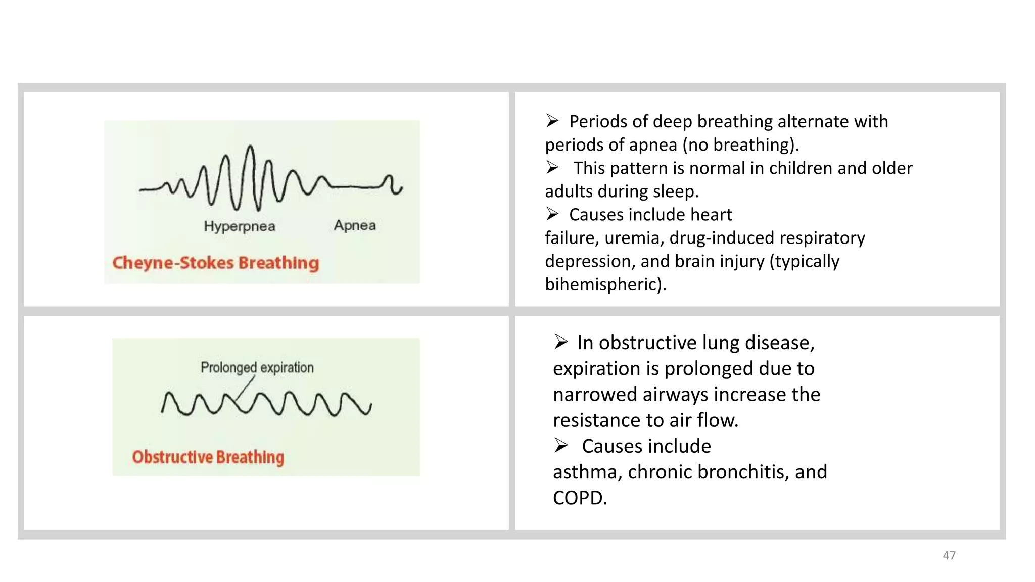 Respiratory assessment | PPTX