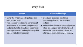 Respiratory assessment | PPTX | Lung and Respiratory Health | Diseases ...