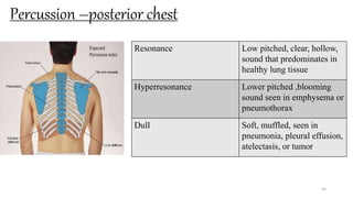 Respiratory assessment | PPTX | Lung and Respiratory Health | Diseases ...